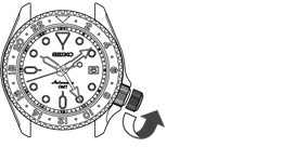 How To Set The Time 24 hour Hand And Date